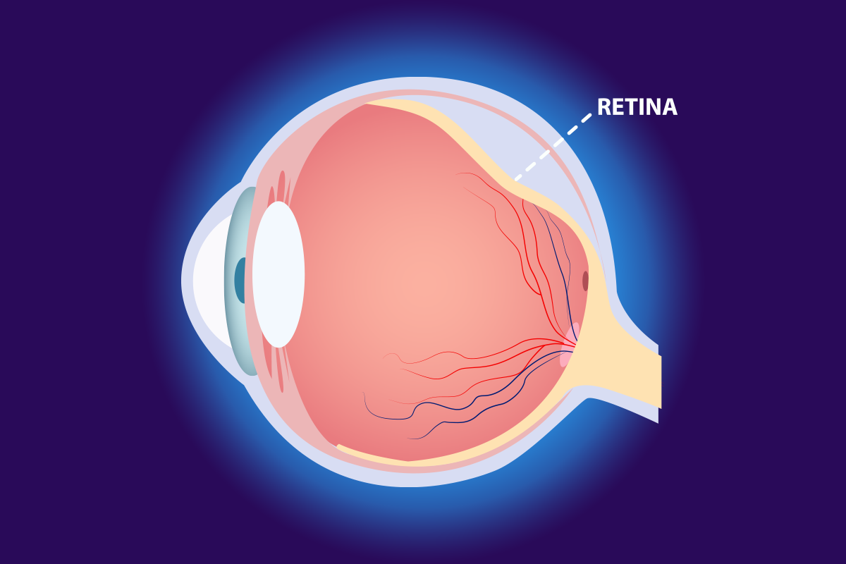 Dra. Stefanie Nishi Lee - Médica Oftalmologista